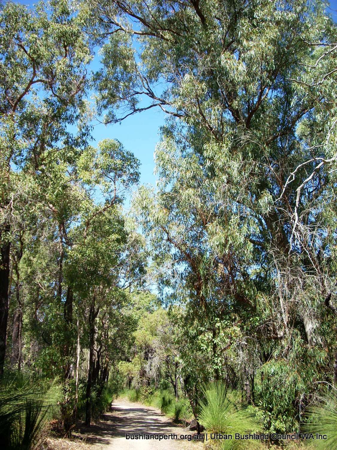 Urban Bushland Council WA