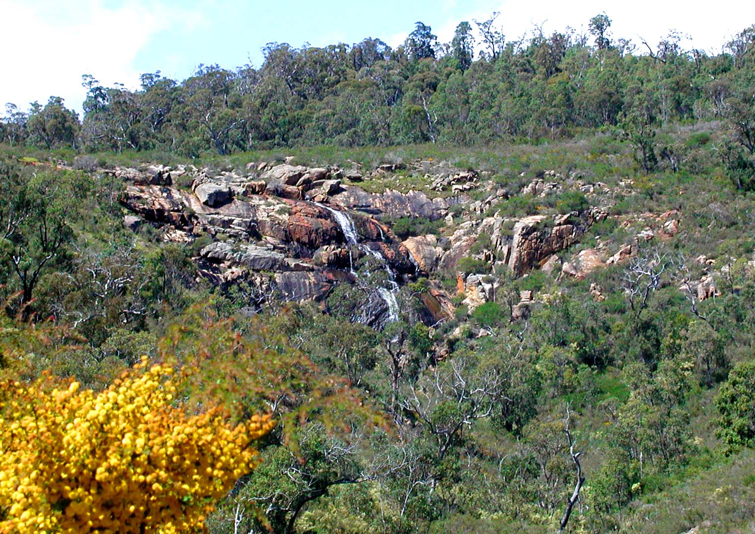 Star Swamp Bushland Reserve - Urban Bushland Council WA