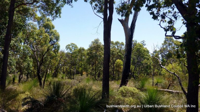 About - Urban Bushland Council WA
