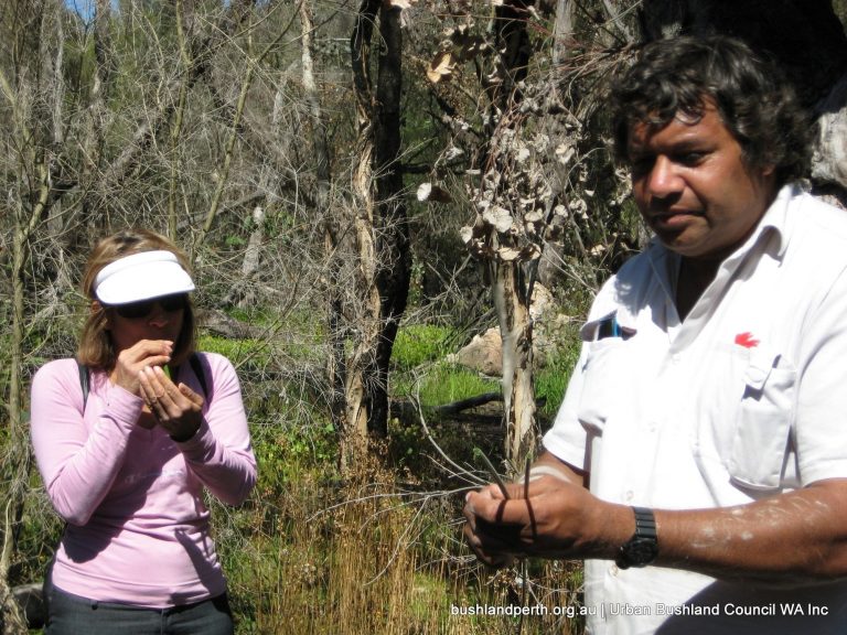 Beeliar Regional Park - Urban Bushland Council WA