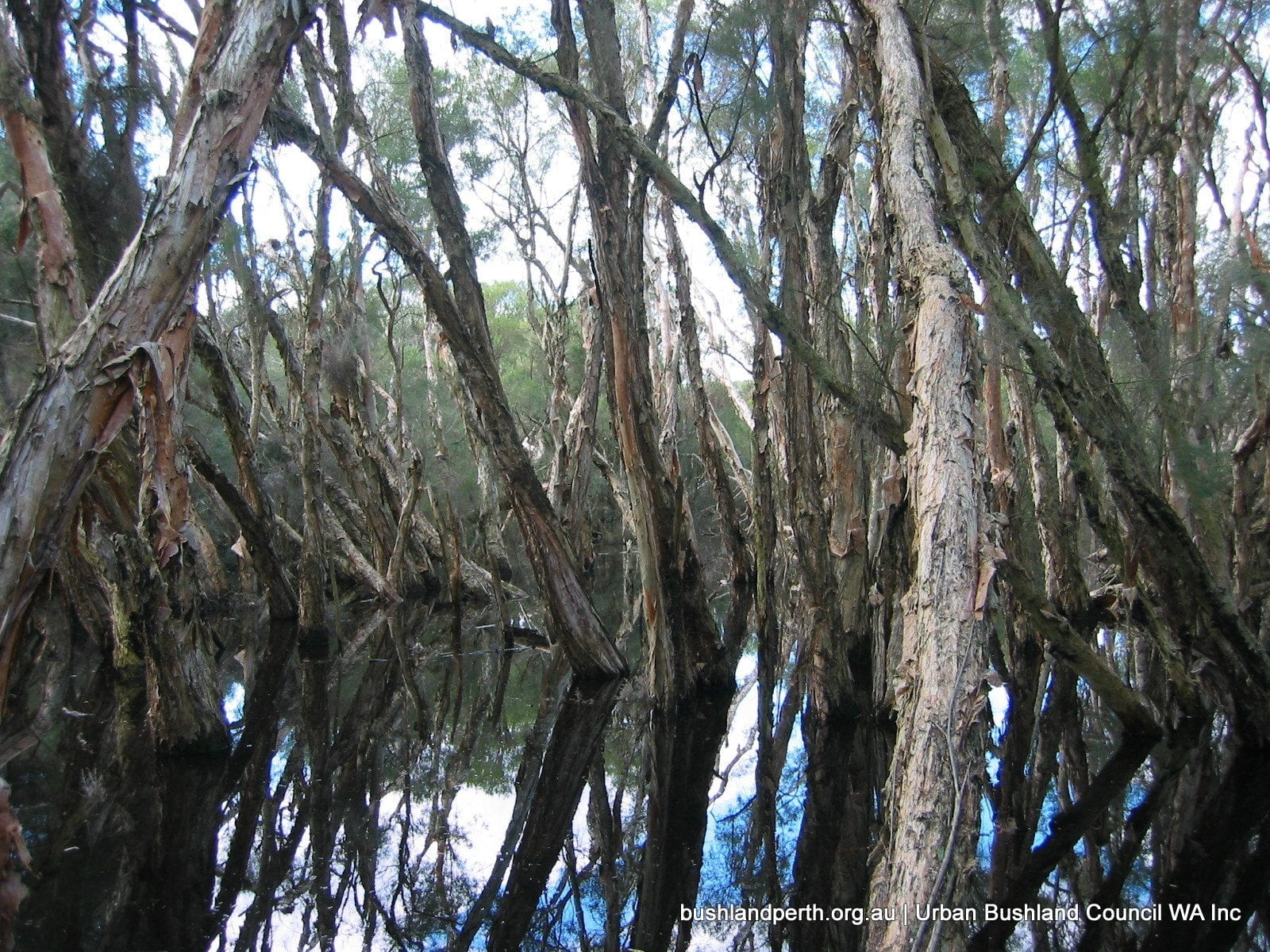 Beeliar Regional Park - Urban Bushland Council WA