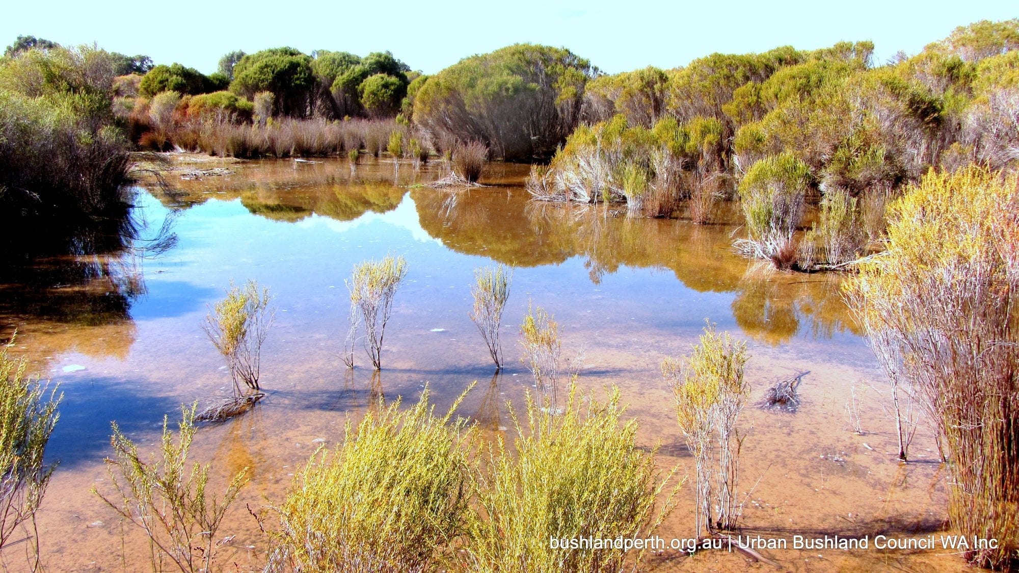 Wetlands Conservation Society (Inc) - Urban Bushland Council WA