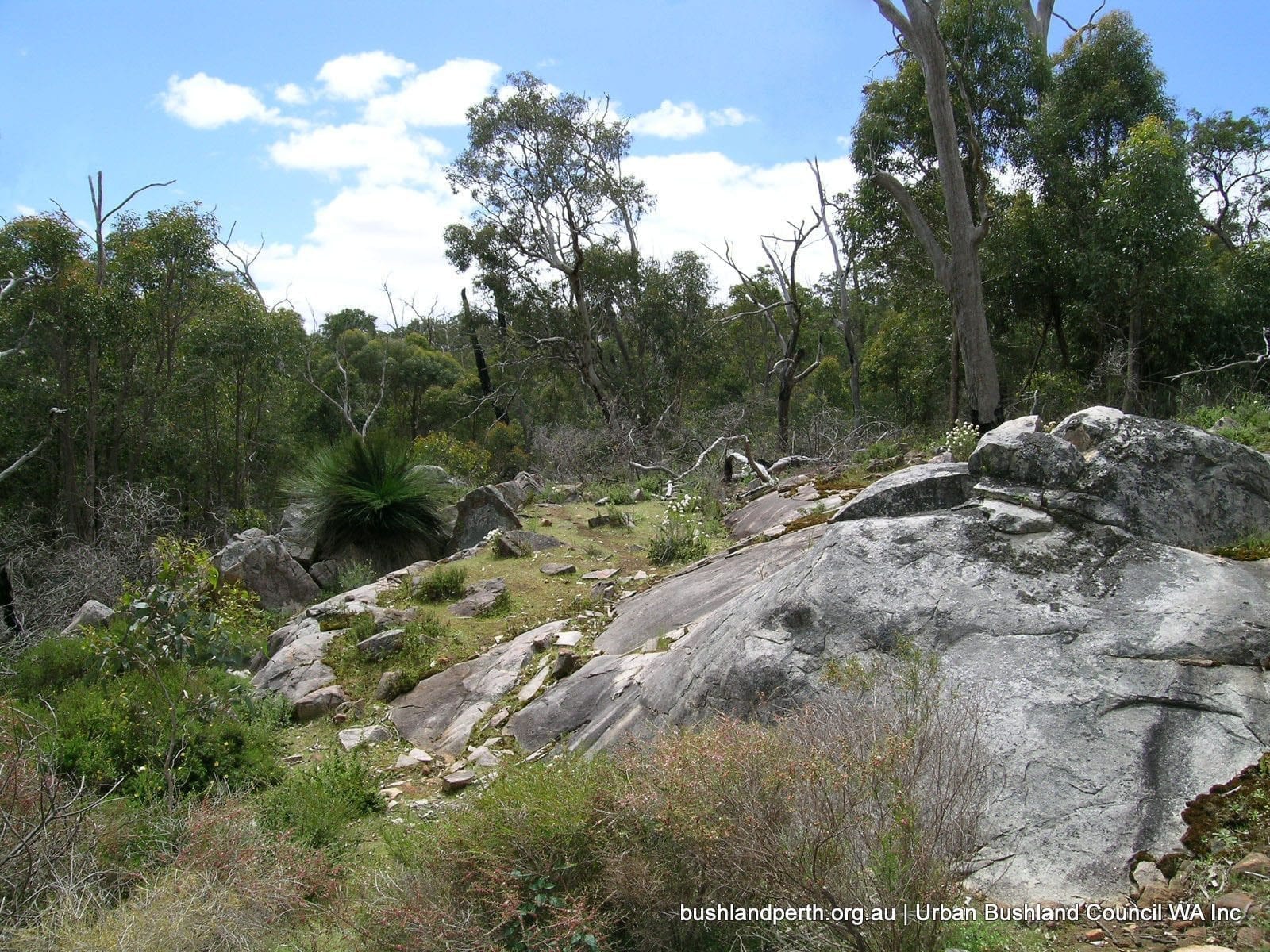 Bungendore Park - Urban Bushland Council WA