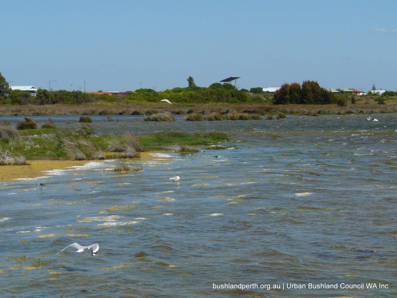 Rockingham Lakes Regional Park - Urban Bushland Council WA