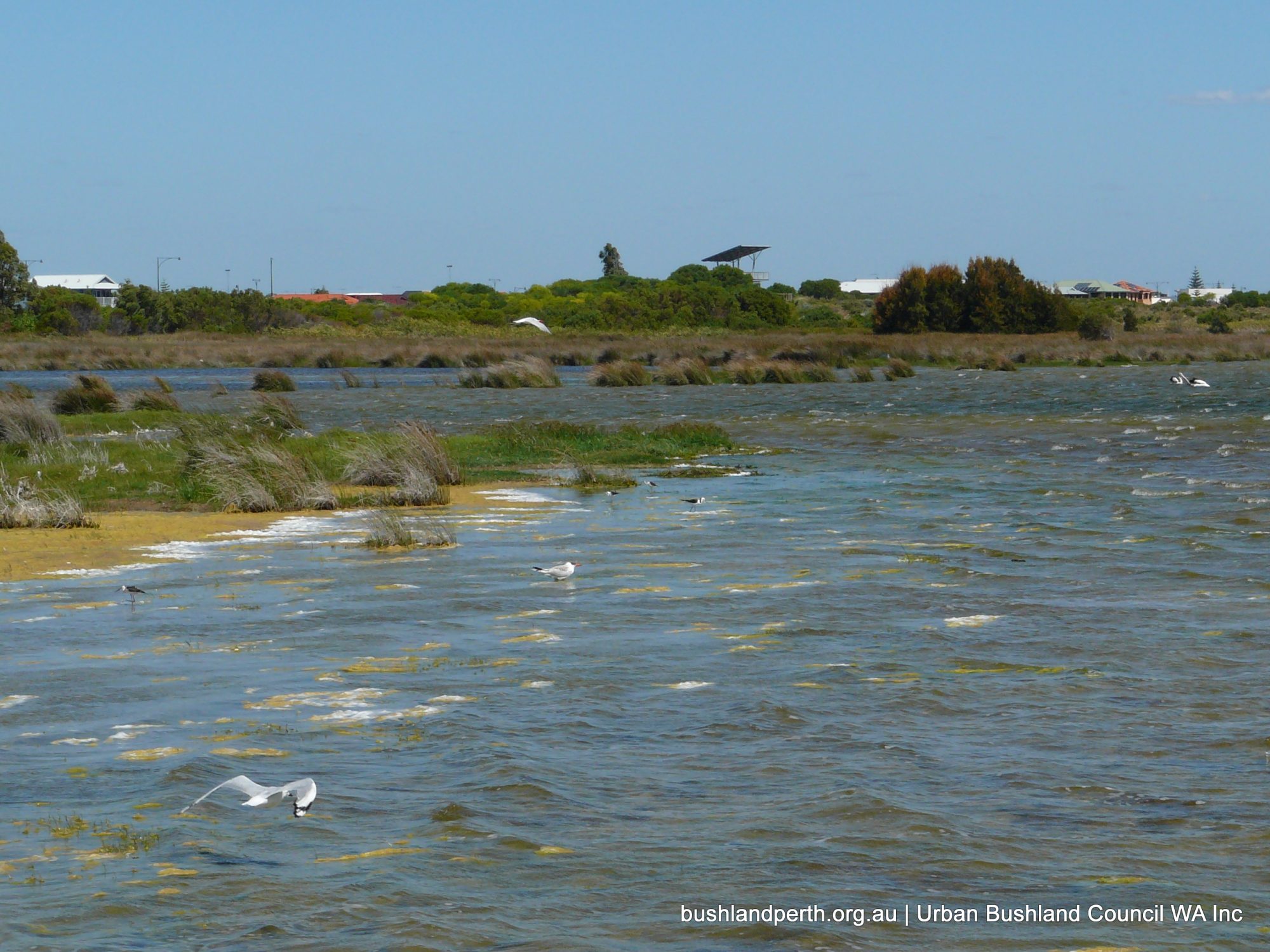 Rockingham Lakes Regional Park - Urban Bushland Council WA
