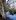 Koondoola Regional Bushland - Urban Bushland Council WA
