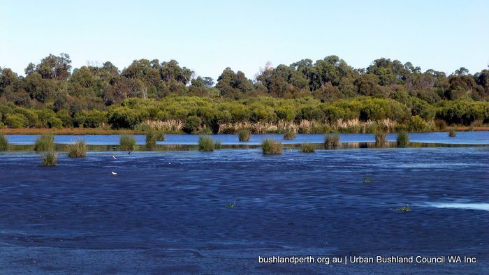 Yanchep National Park - Urban Bushland Council WA