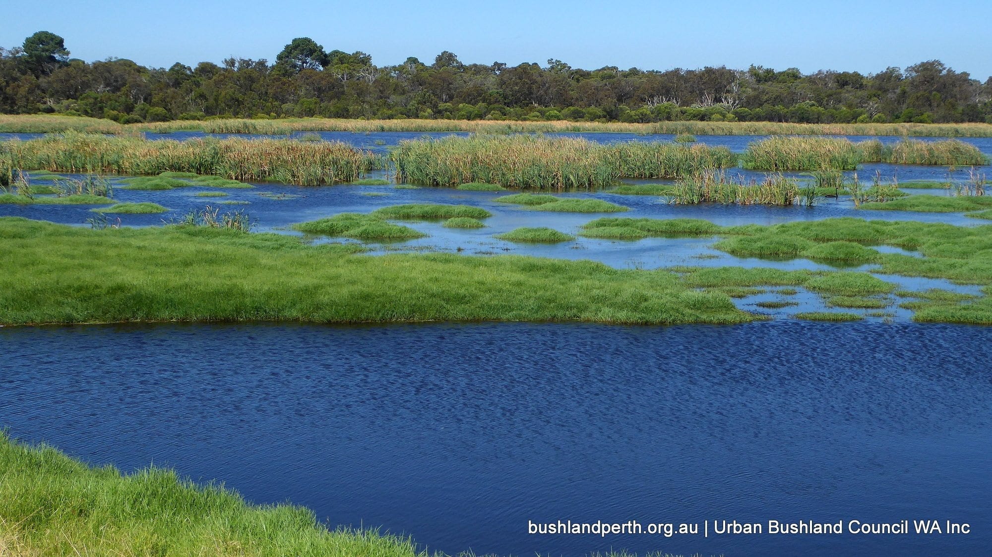 Wetlands Conservation Society (Inc) - Urban Bushland Council WA