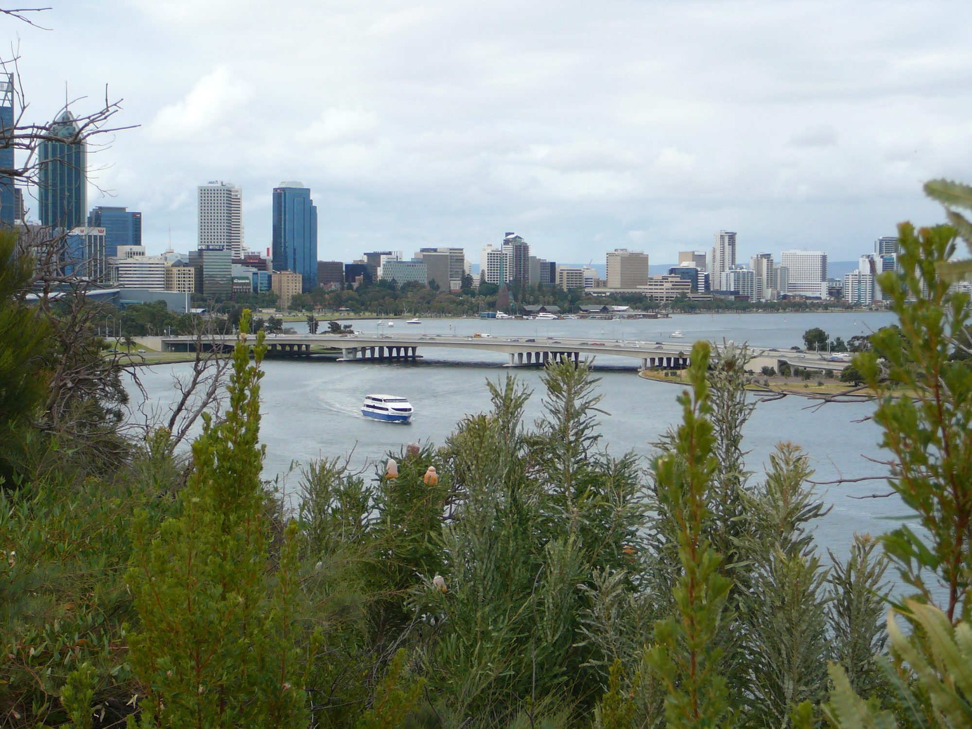 Kings Park - Urban Bushland Council WA