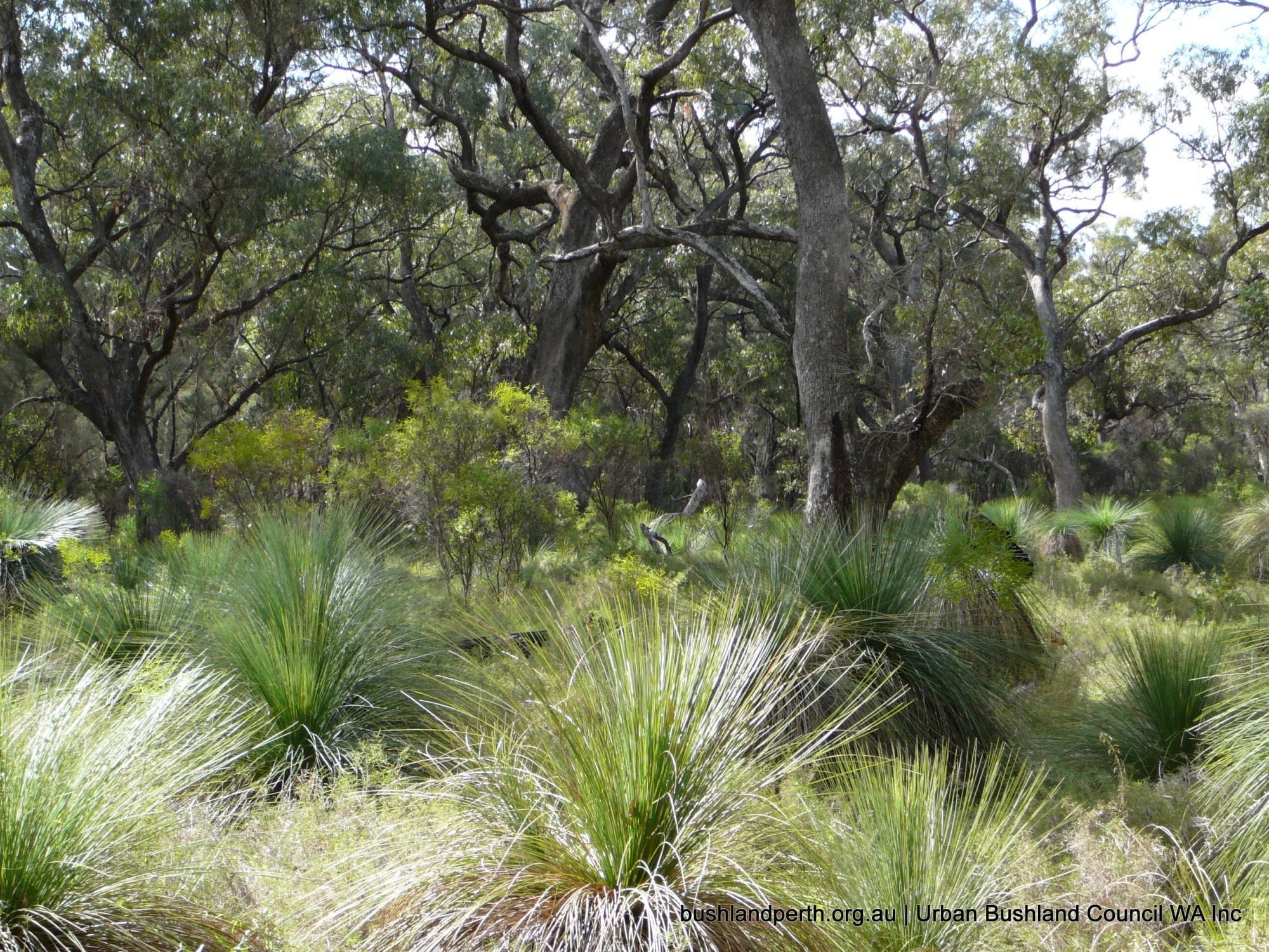 Science and Conservation Jobs Stimulus - Urban Bushland Council WA