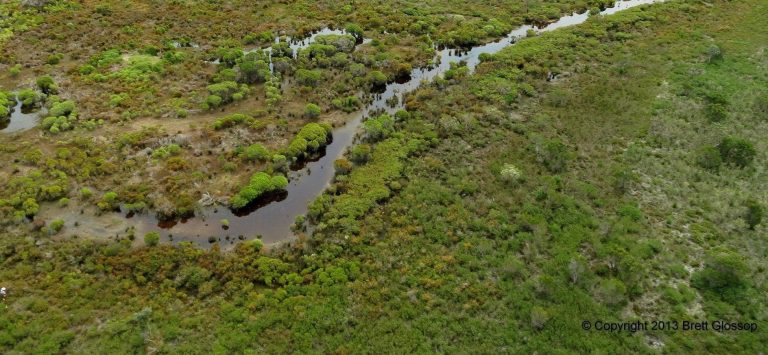 The UBC Bush Forever Campaign - Urban Bushland Council WA