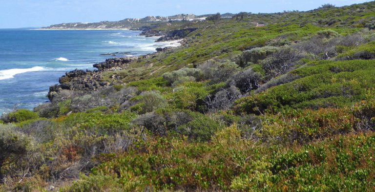 Urban Bushland Council WA