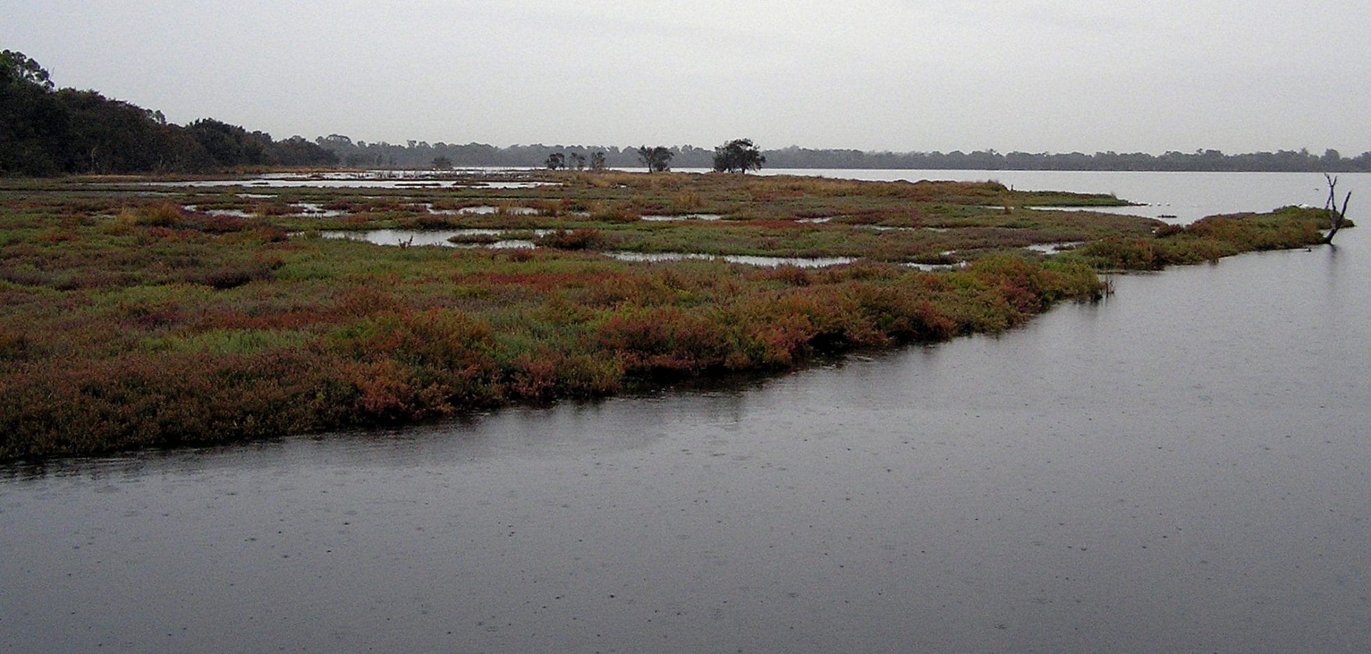 Policies and Processes critical to Bush Forever - Urban Bushland Council WA
