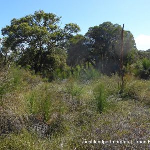 Threats to Bushland - Urban Bushland Council WA