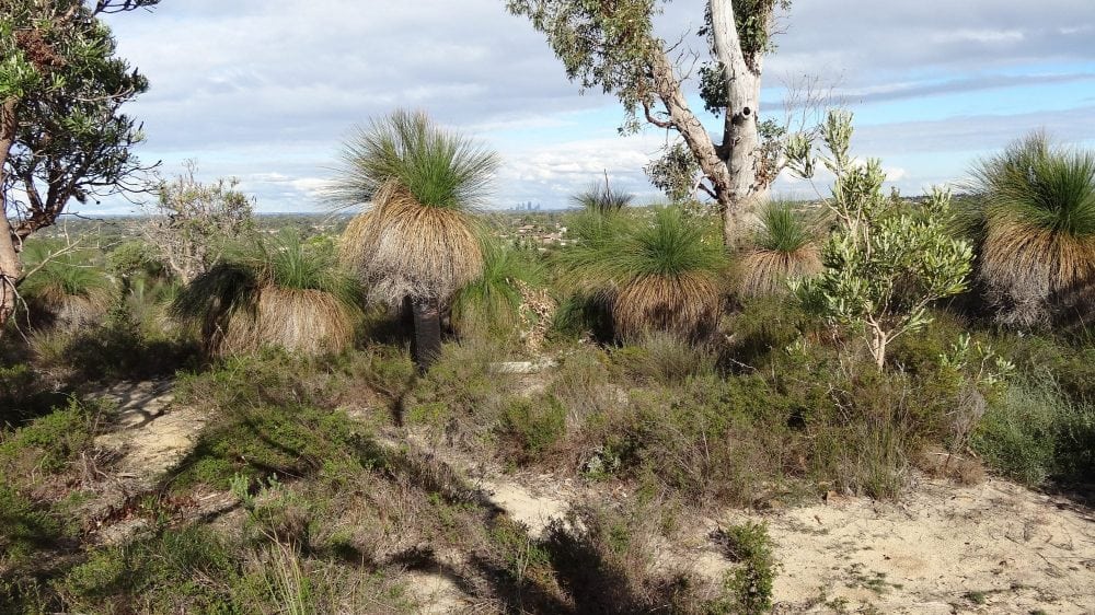 Friends of Hepburn Bushland - Urban Bushland Council WA