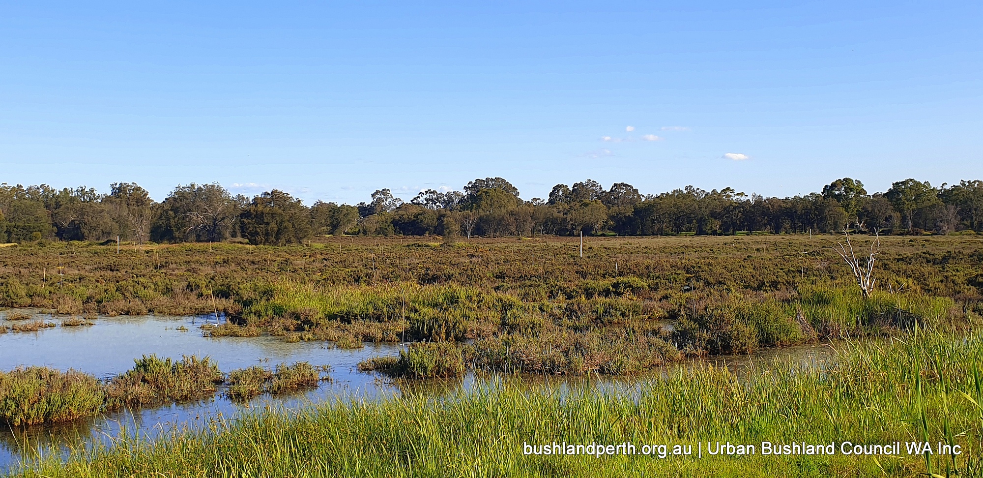 Jirdarup Bushland - Urban Bushland Council WA