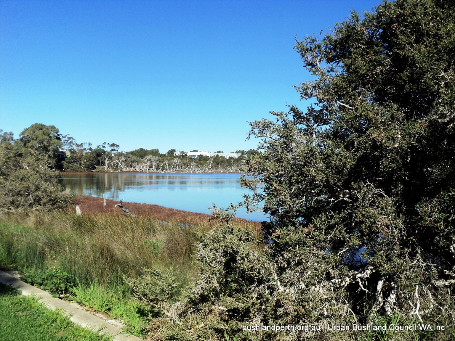 Beeliar Regional Park - Urban Bushland Council WA
