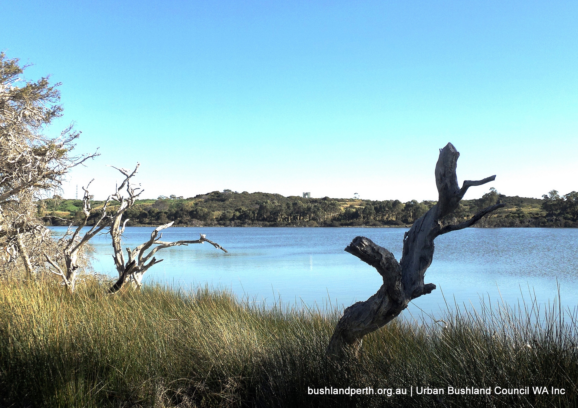 Beeliar Regional Park - Urban Bushland Council WA