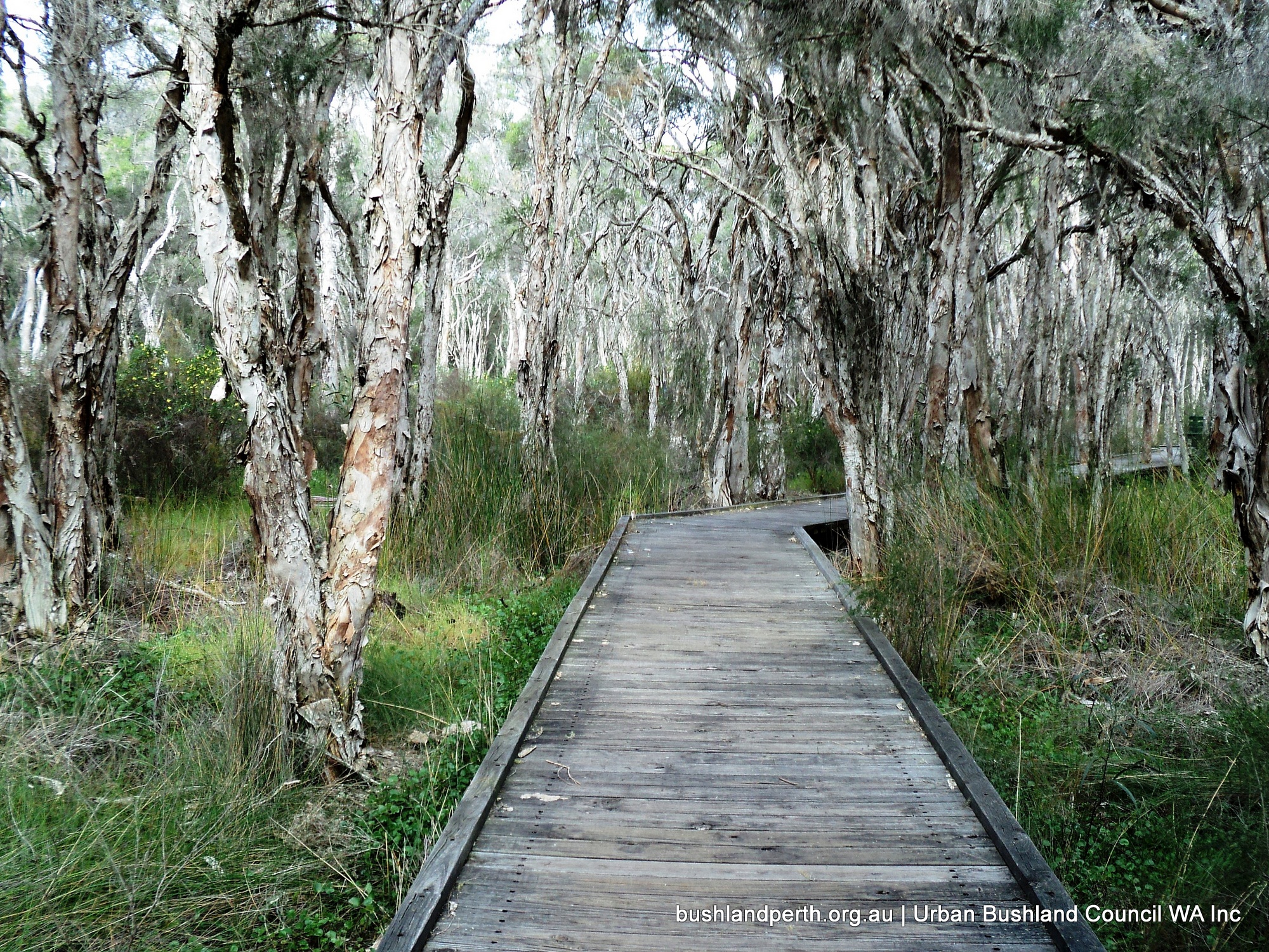 Beeliar Regional Park - Urban Bushland Council WA