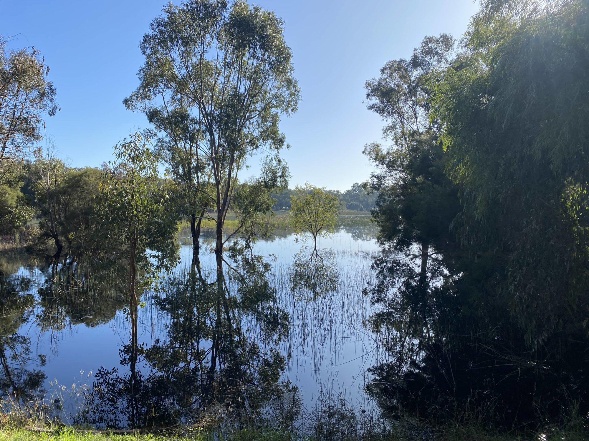 Friends of Perry Lakes - Urban Bushland Council WA