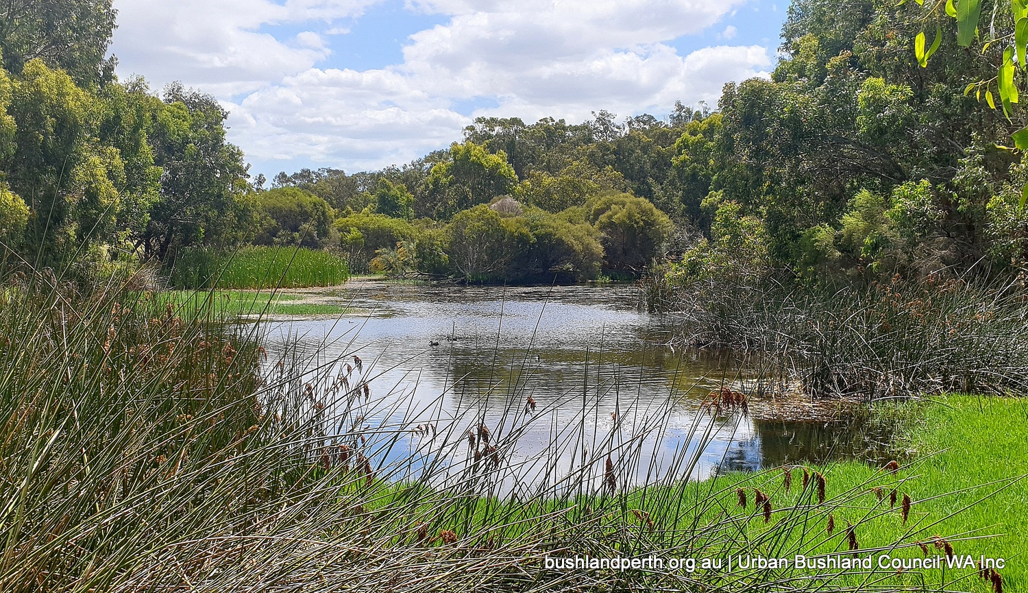 Craigie Bushland Urban Bushland Council Wa