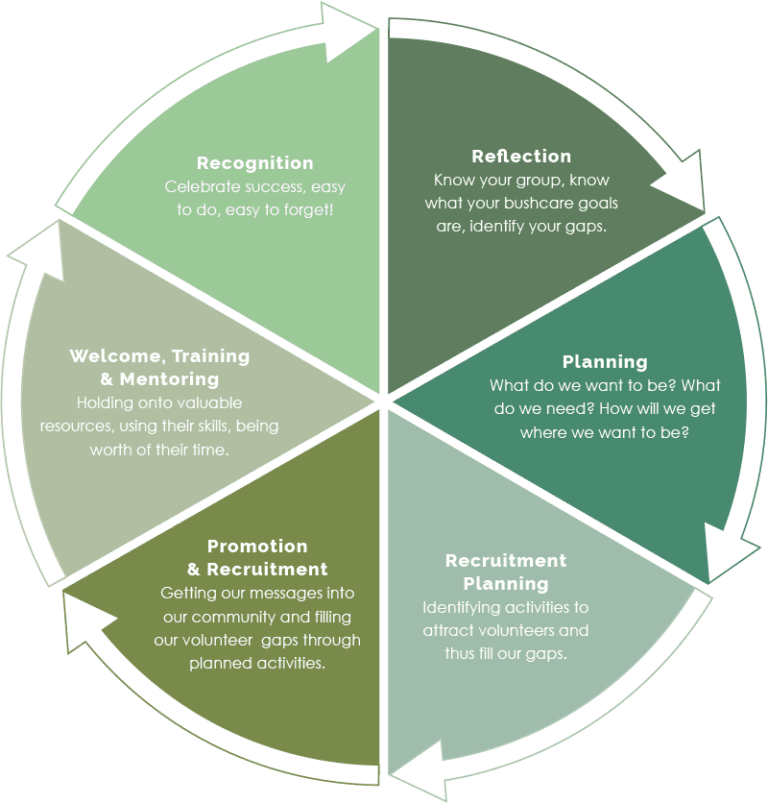 Guide to Bushcare Volunteering for Friends Groups - Urban Bushland ...
